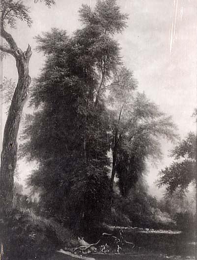 Reproductions D'art De Musée Arbres, (peinture) de Asher Brown Durand ...