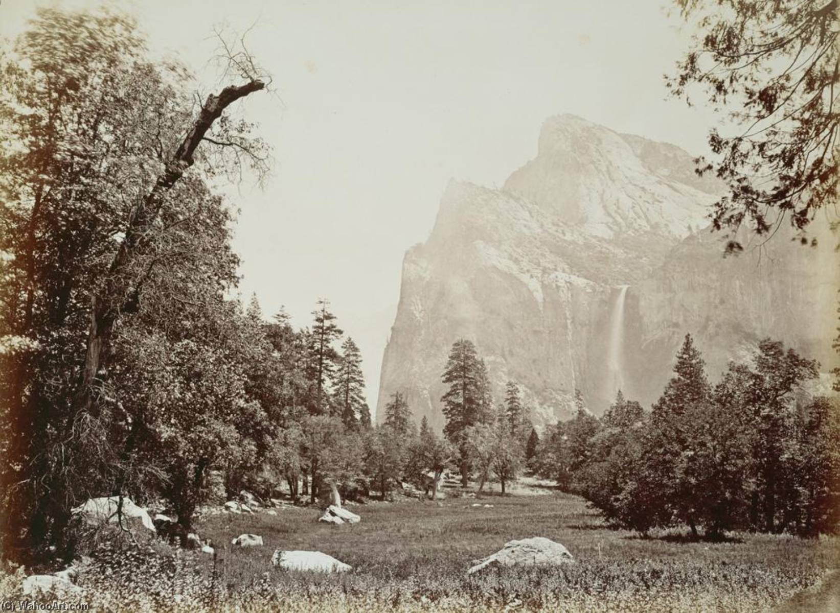 Reproductions D'art , 1883 de Carleton Watkins (1829-1916) | ArtsDot.com
